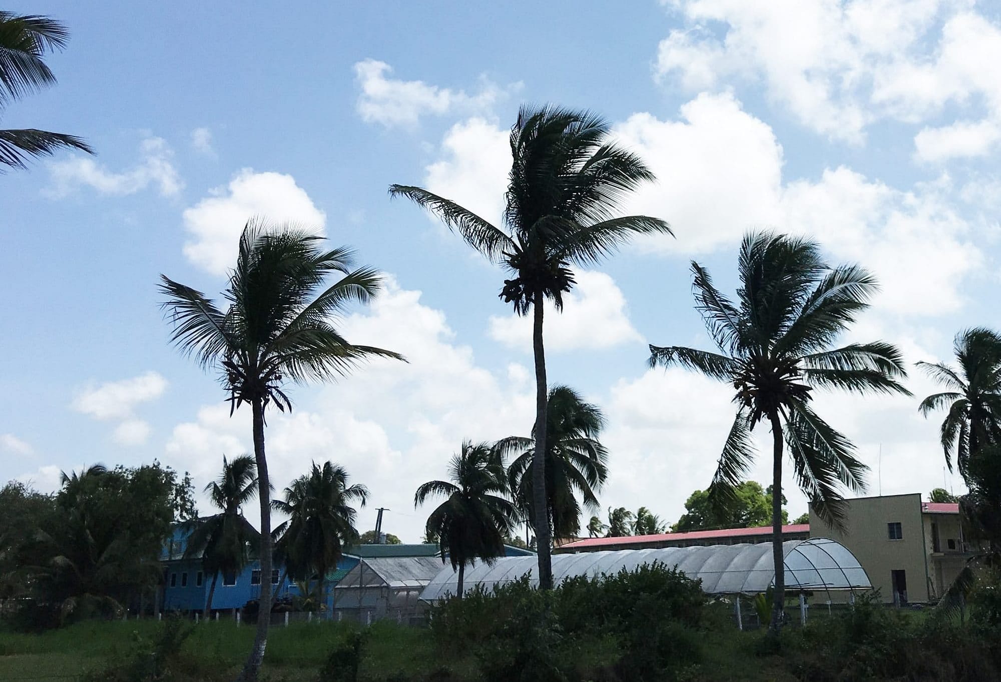 meeco to install 5 solar systems on NAREI Institute buildings in Guyana ...